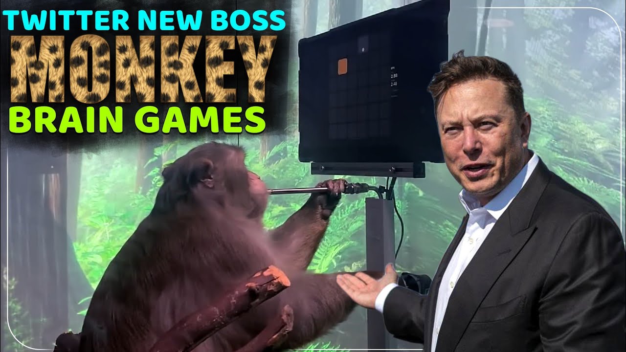 Neuralink Monkey Experiment Technology Explained - Artificial ...