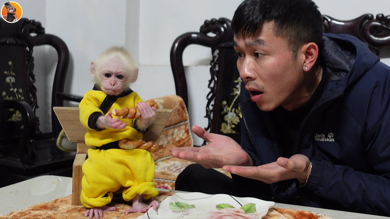 KuKU Parky the monkey is given snacks by his grandmother || Day 36 ...