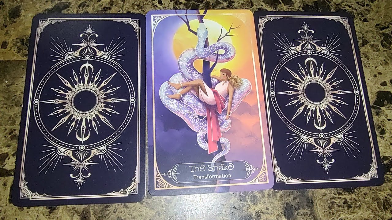 Unboxing the Wild Soul Oracle Cards! - YouTube