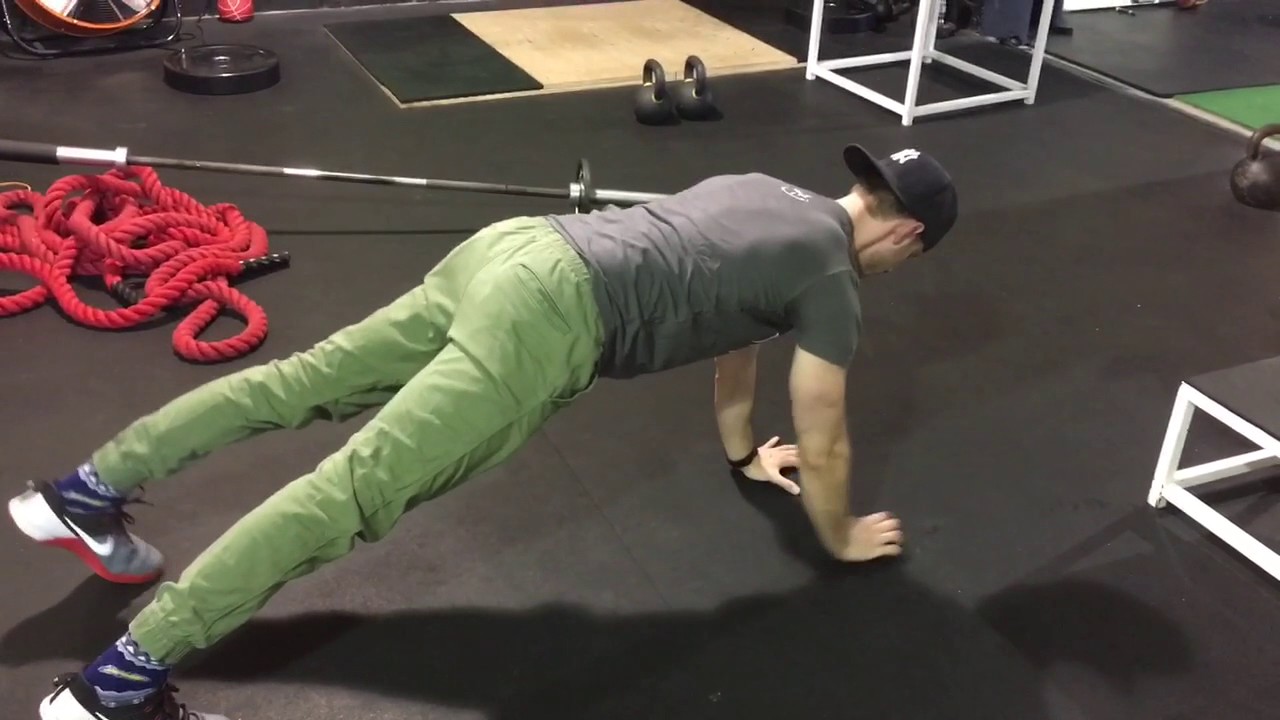 Push-Up Position Bird Dog - YouTube