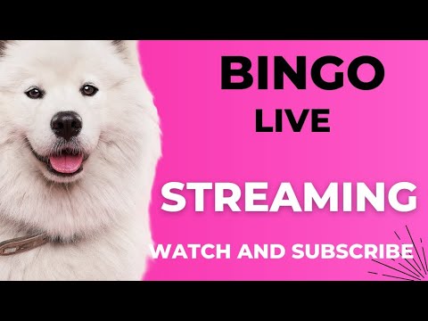 Bingo live streaming - YouTube