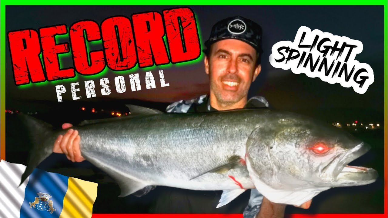 Mi PEZ RÉCORD a LIGHT SPINNING | MONSTER BLUEFISH | D1 DT5016 ...