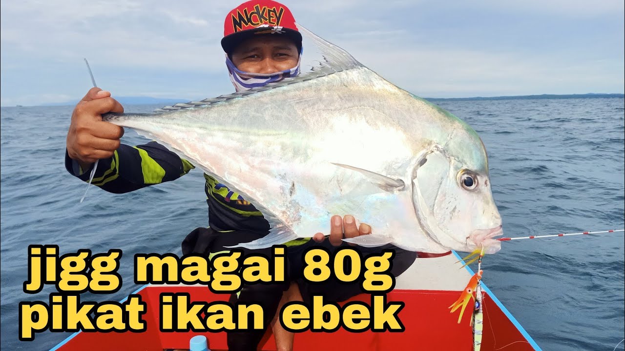 jig Magai 80g Berjaya Memikat ikan ebek 🥰 #fishing #jigging # ...
