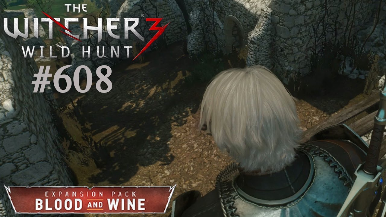 THE WITCHER 3 [#608] ★ Jeden Stein umgedreht ★ Let's Play Blood and ...