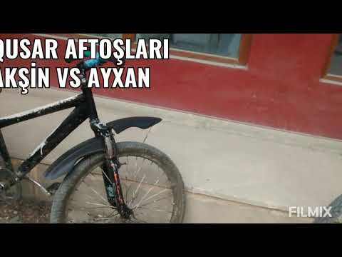 QUSAR AFTOŞLARI
