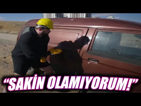 tuna tavus acı yedikten sonra araba parçalıyor.
