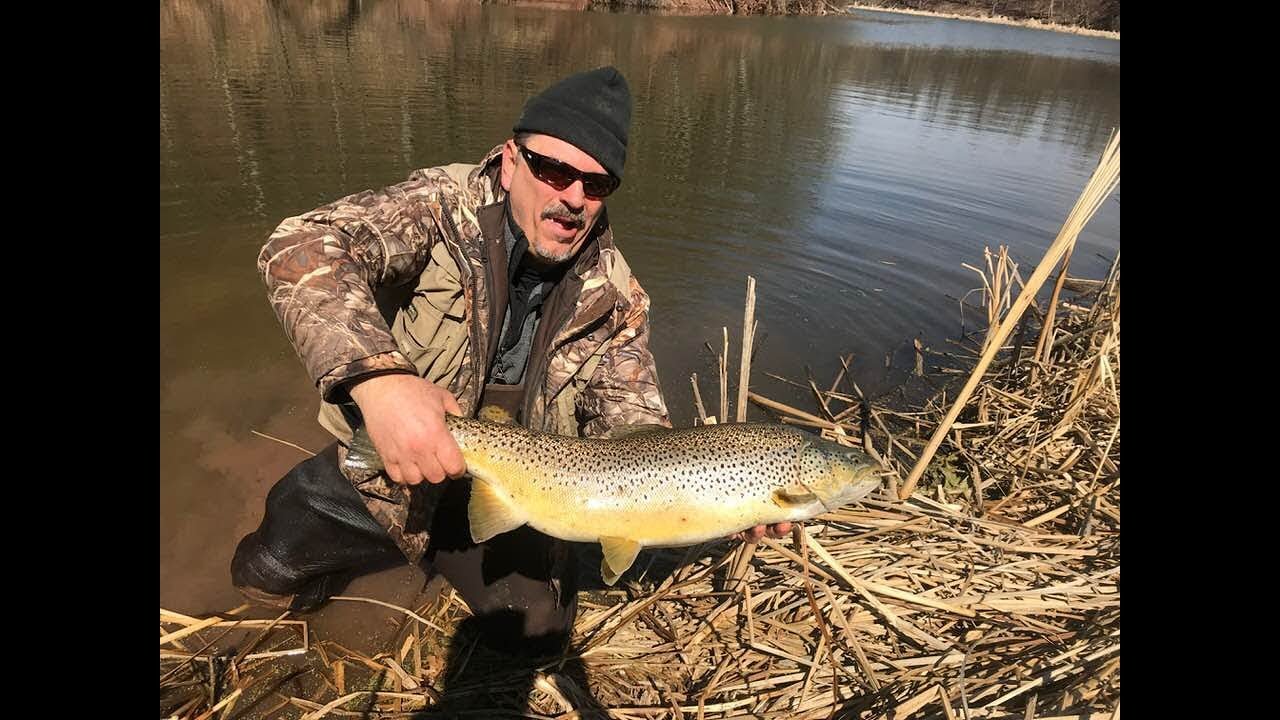Trout Fishing with Bill and Mike-MASSIVE BROWN TROUT - YouTube