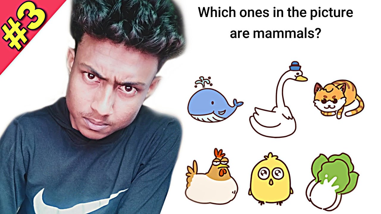 Brain Boom 21 to 30 Lavel solutions - YouTube