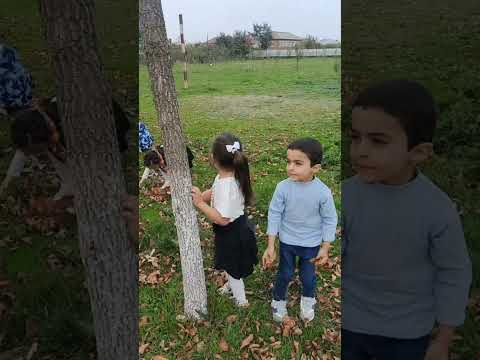 Payızın gözəlliyi ilə uşaqların sevinci ..