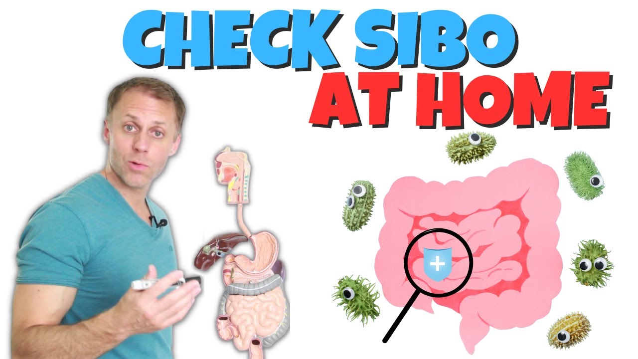 Check SIBO At Home - Food Marble Aire 2 Honest Review with Flaws - YouTube