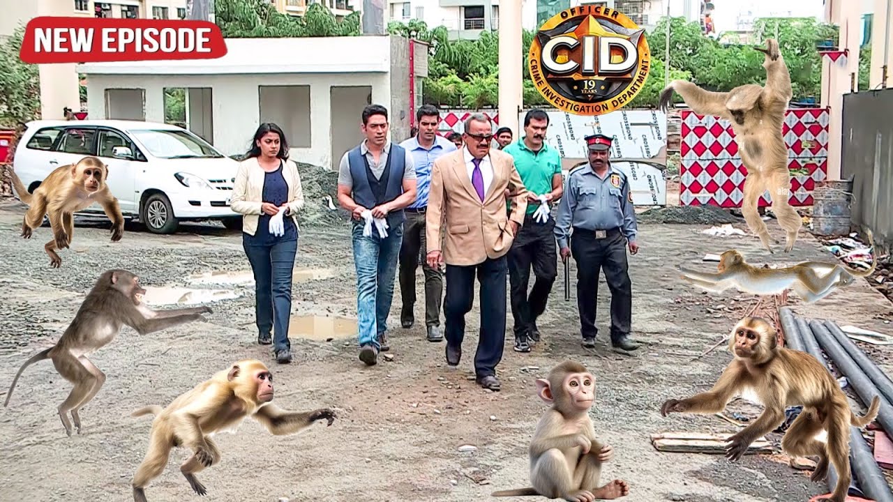 CID Team पर बंदरों ने किया अटैक | CID Best Episode Hindi Tv Serial ...