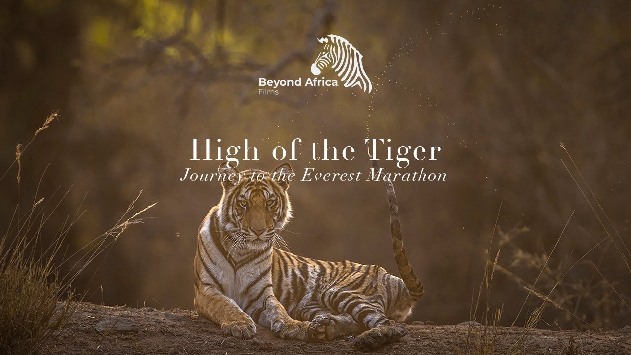 High of the Tiger | Journey to the Everest Marathon - YouTube