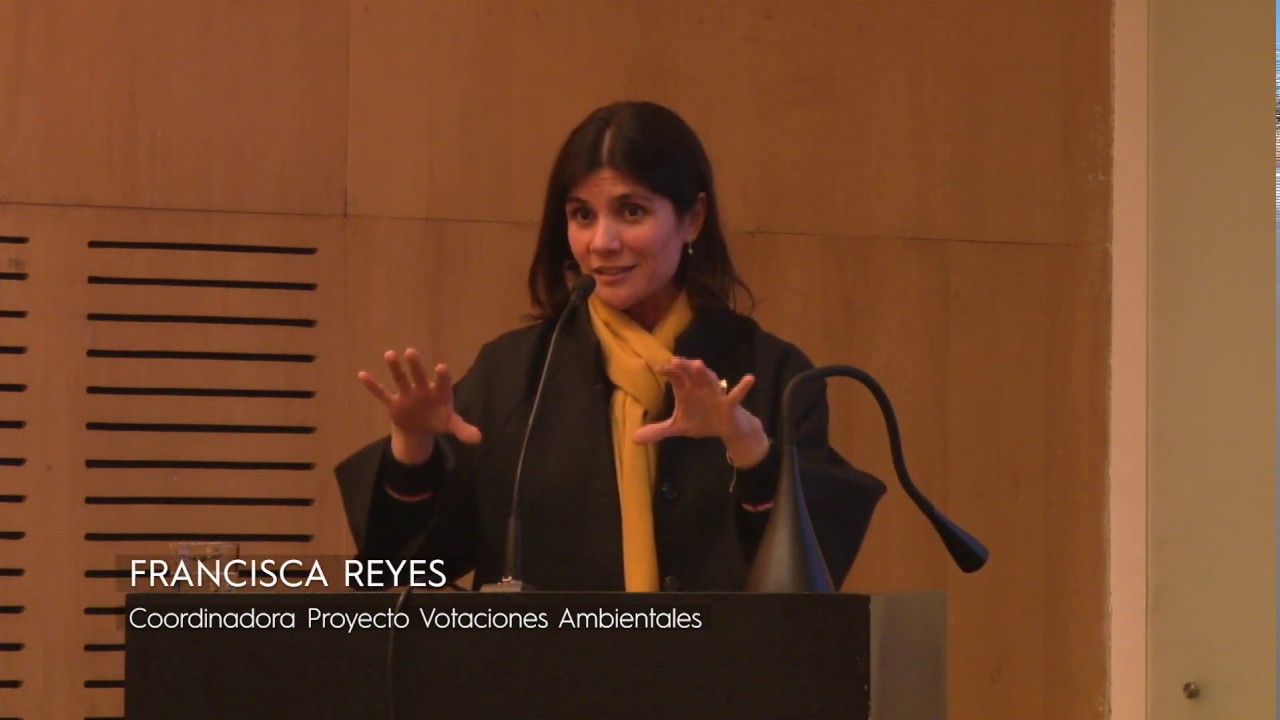"Desafíos de la Política Pública" - Francisca Reyes - YouTube