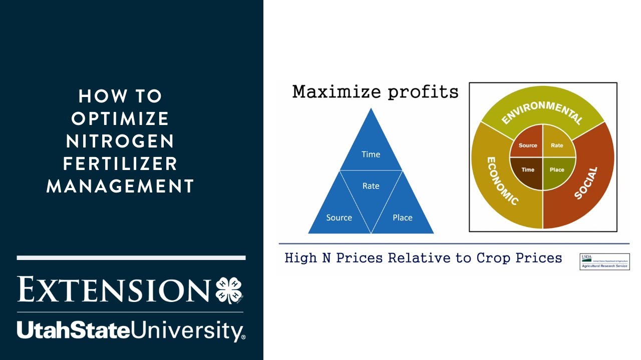 How to Optimize Nitrogen Fertilizer Management - YouTube