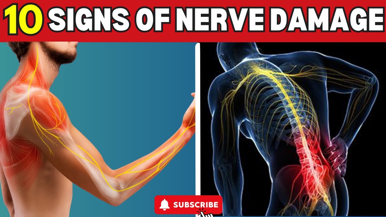 10 Symptoms and Signs of Nerve Damage You Should Never Ignore ...