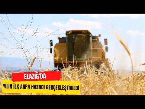 ELAZIĞ'DA YILIN İLK ARPA HASADI GERÇEKLEŞTİRİLDİ