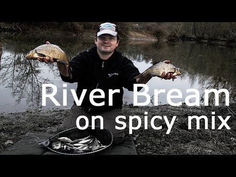 river bream pole fishing on spicy mix bait tech pro natural bream - YouTube