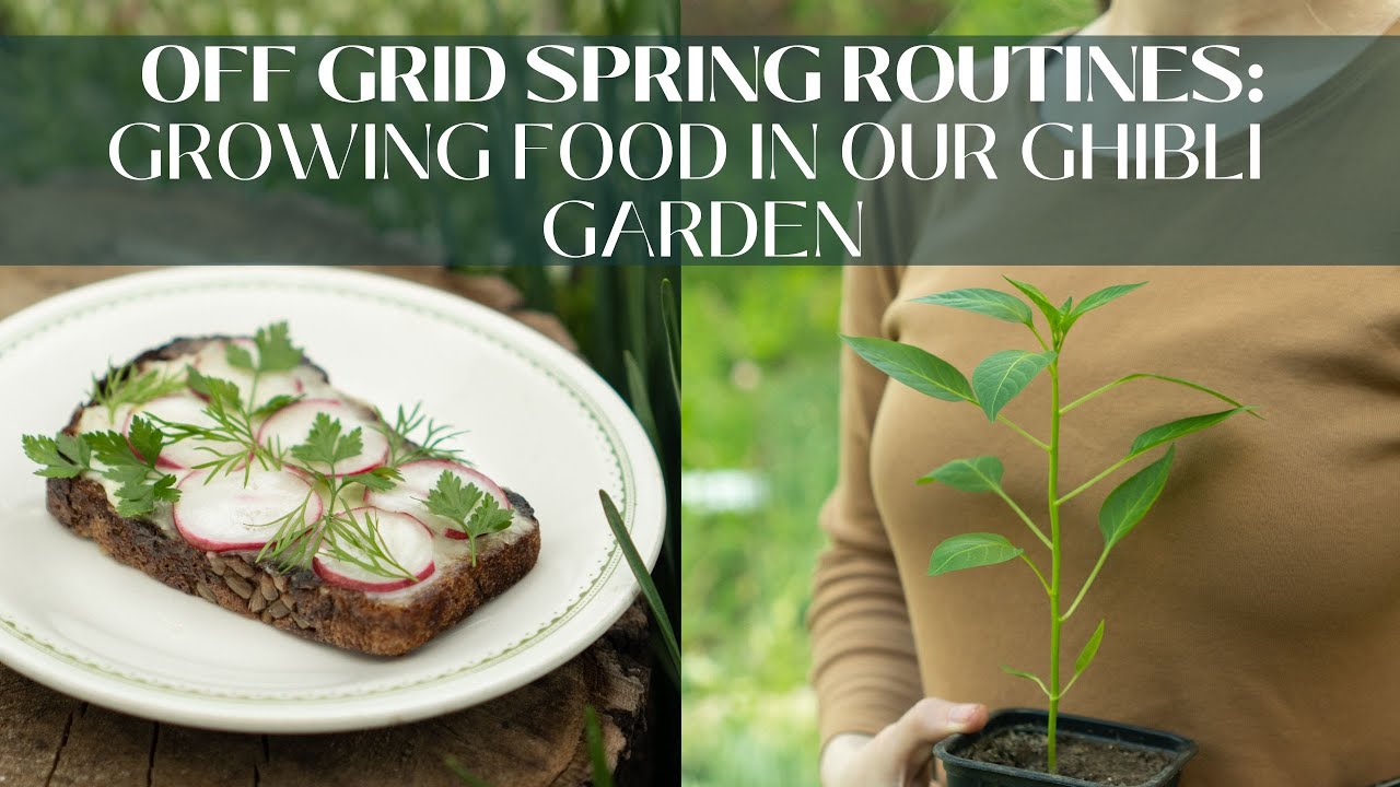 §5/ OFF GRID SPRING ROUTINES: Growing Food in Cottage Garden | Slow ...