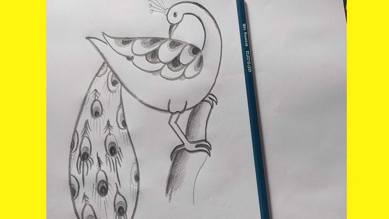 Peacock drawing by pencil easy step - YouTube