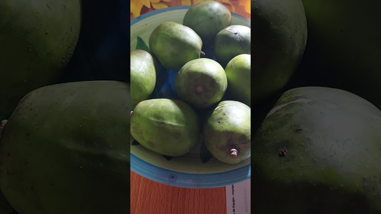 Jobo Fruta Exótica y Rara - YouTube