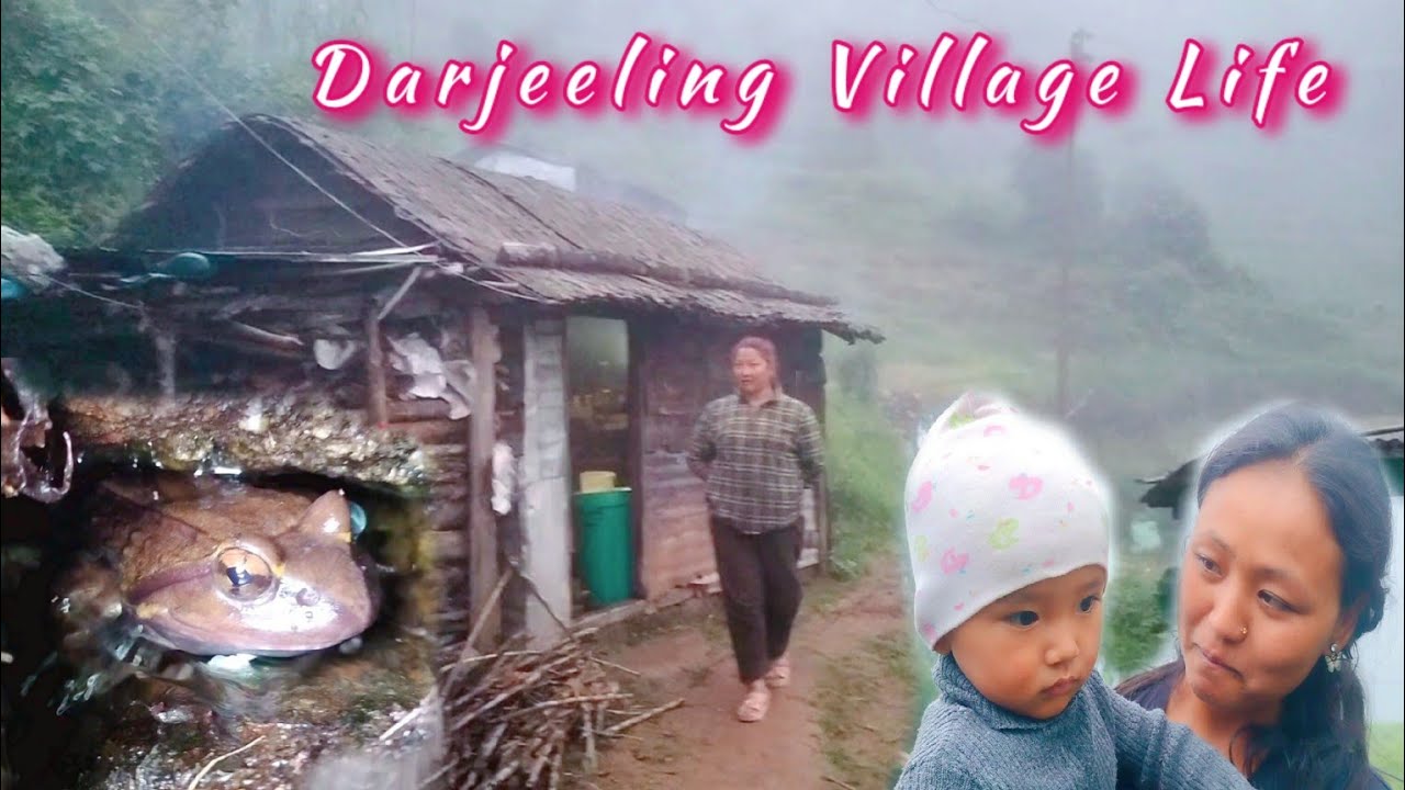 pani banaunu jada man paha vetiyo || simple village life vlog || sadew khaling vlogs - YouTube