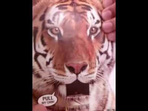 Louie the gay tiger