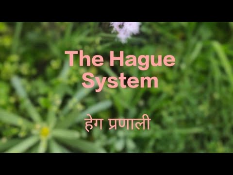 हेग प्रणाली, the Hauge system, concept, meaning & definition, purposes ...