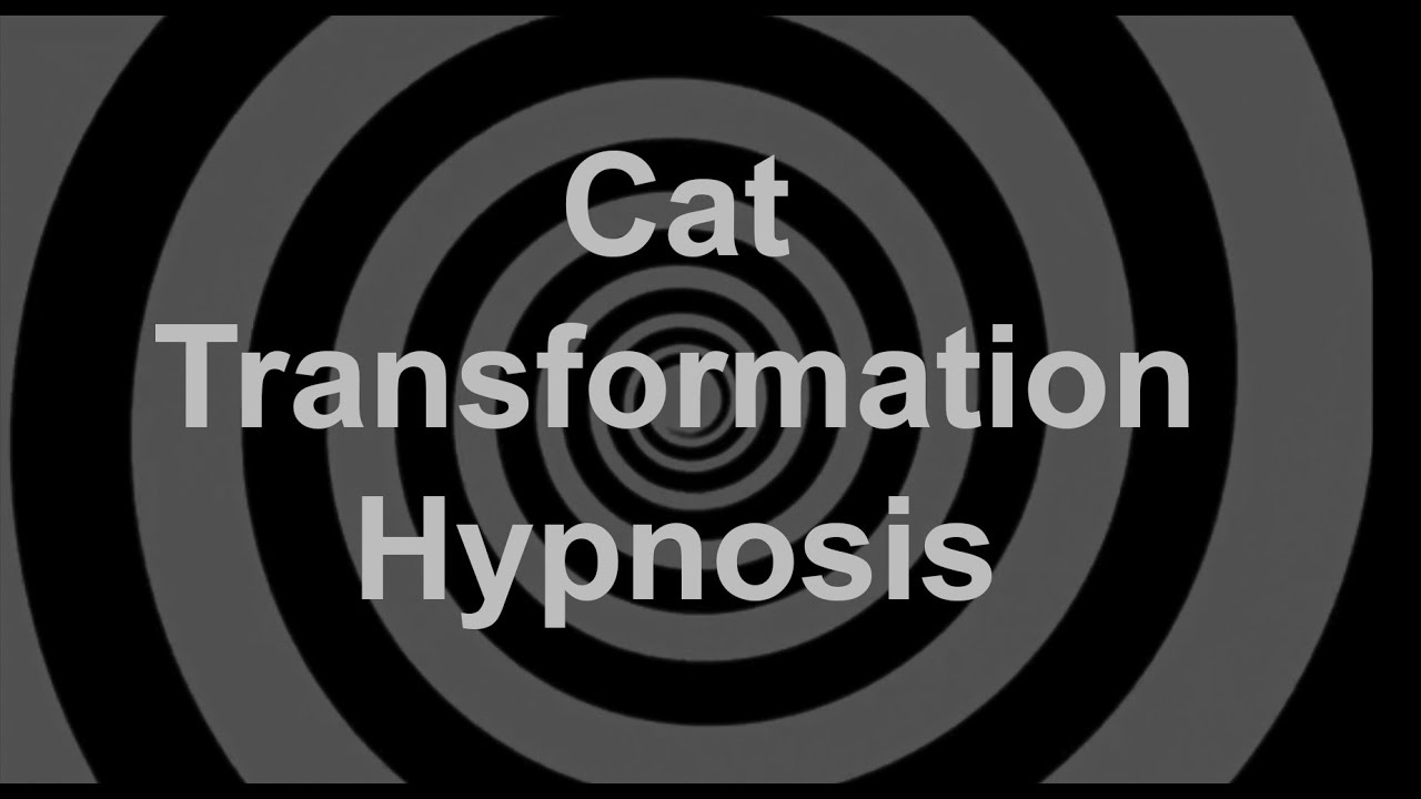 Cat Transformation Hypnosis - YouTube