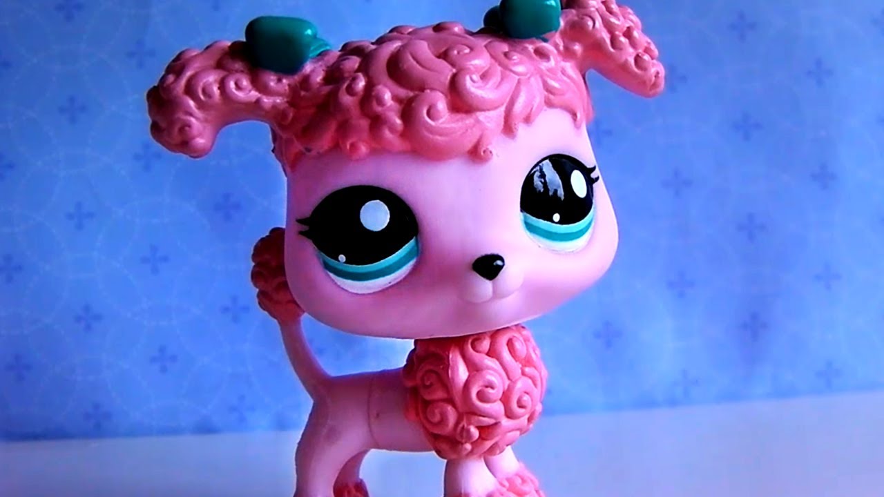 My 6 New LPS! - YouTube