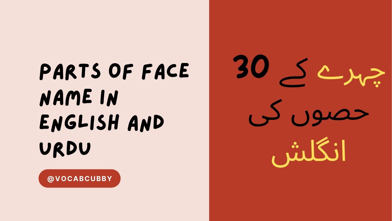 Face Parts in English and Urdu | Face Parts Vocabulary | Name of Face ...