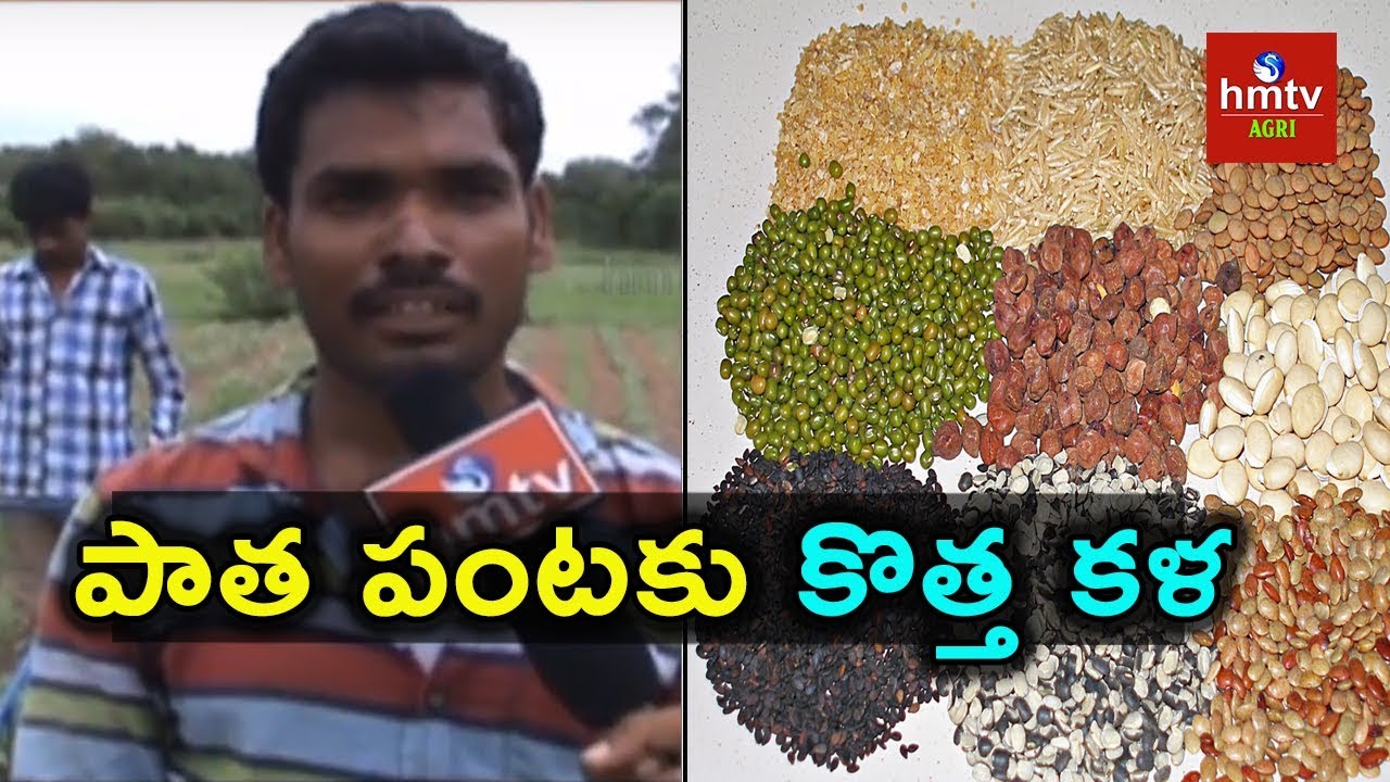 Navadhanya Farming Information Guide By Mahabubnagar Farmers | hmtv ...