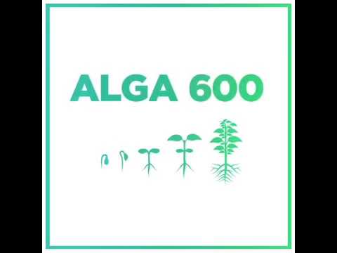 Video Alga 600 - Bioestimulante Extracto de Alga - YouTube
