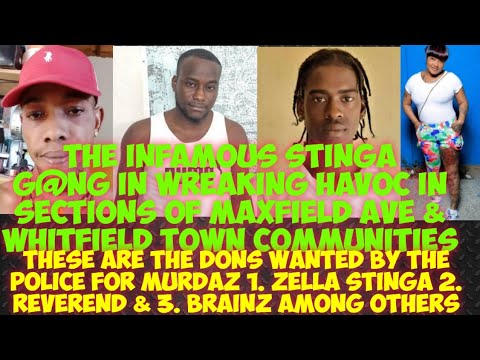 The Infamous Stinga G@NG Wreaking Havoc Now The Top Tier Members Are ...