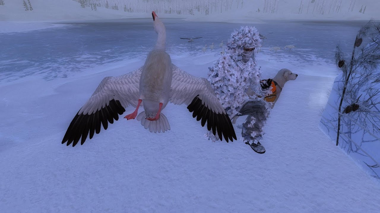 Snow Goose Hunting First Look Thehunter Classic 2020 1440p - YouTube