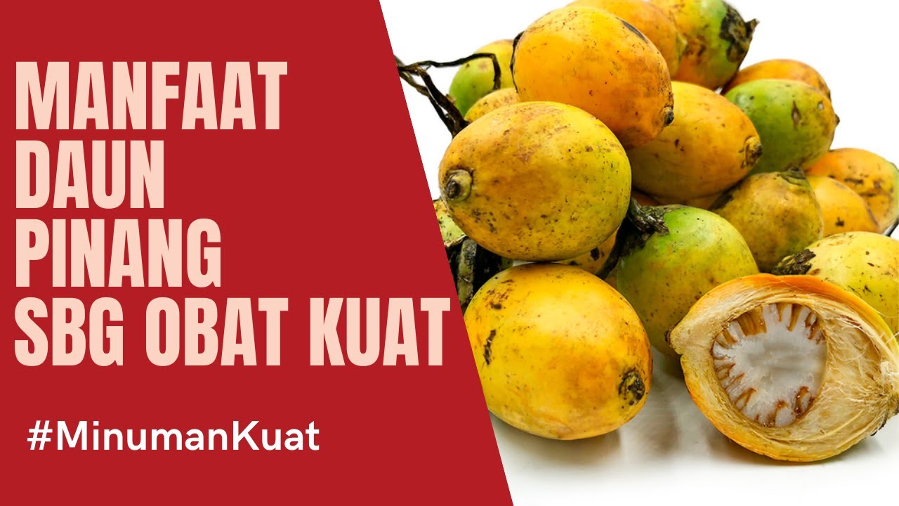 MINUMAN OBAT HERBAL TRADISIONAL AGAR PRIA LEBIH LAMA SAAT DI ATAS ...