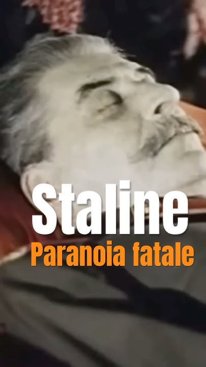STALINE - #history #histoire #pourtoi #culture #anecdote #urss #stalin - YouTube