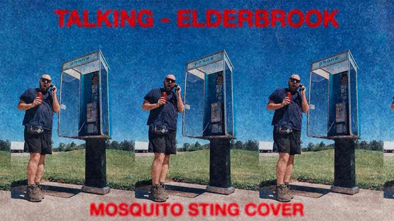 Talking - Elderbrook (Mosquito Sting Cover) - YouTube Music