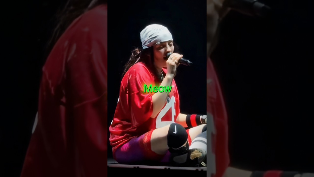 Billie Eilish sings What was I made for (CAT VERSION) 😹 Chords - Chordify Billie Eilish sings What was I made for (CAT VERSION) 😹 Chords - Chordify