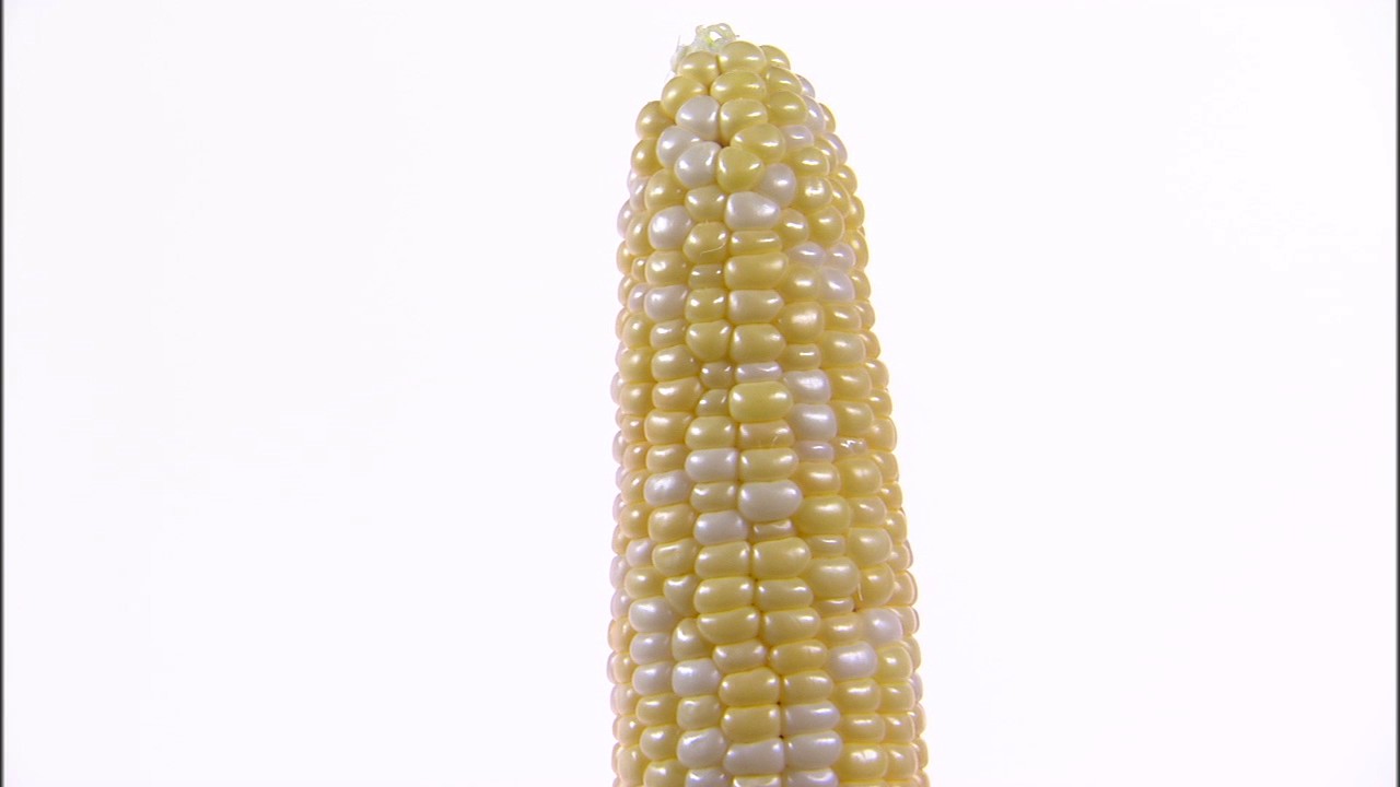 zoom in of corn on the cob rotating on white background jwa38dgh D ...