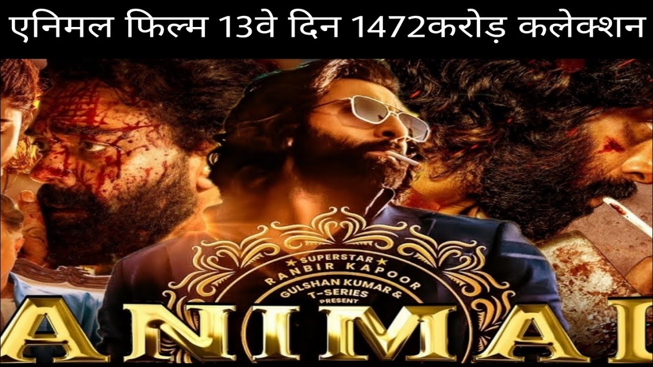 Animal film 13th day collection #ranbir kapoor#bobi deol - YouTube