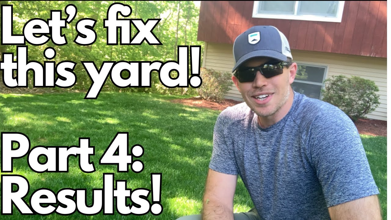 The Lawn Lab 2024 Project Yard | Part 4 Results - YouTube