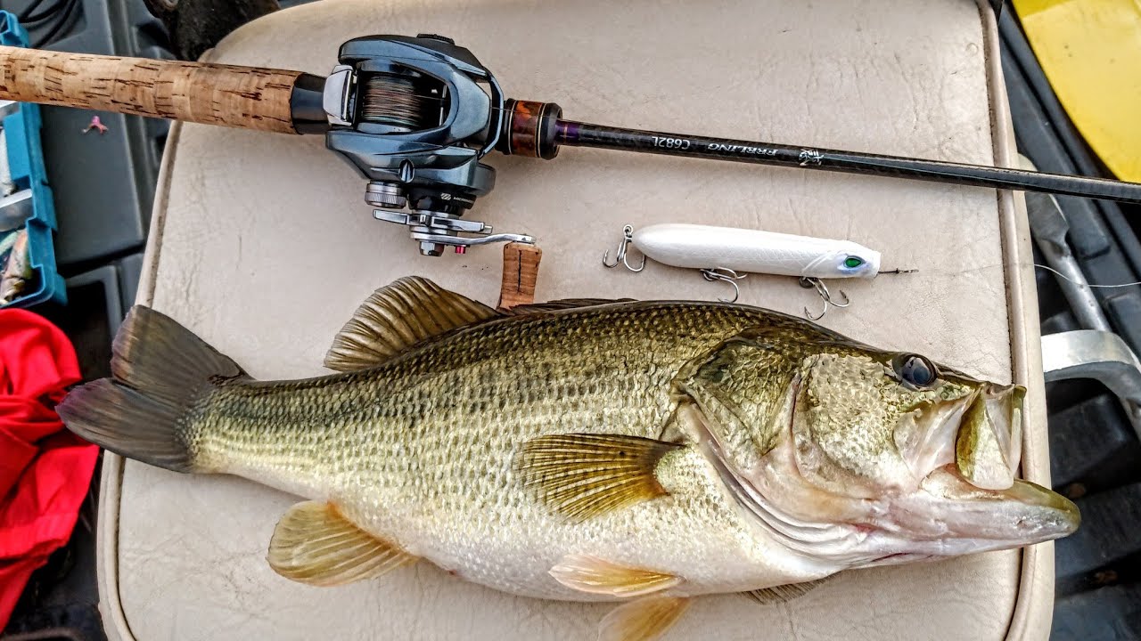 toughest Bass Fishing Trip of the Year - YouTube