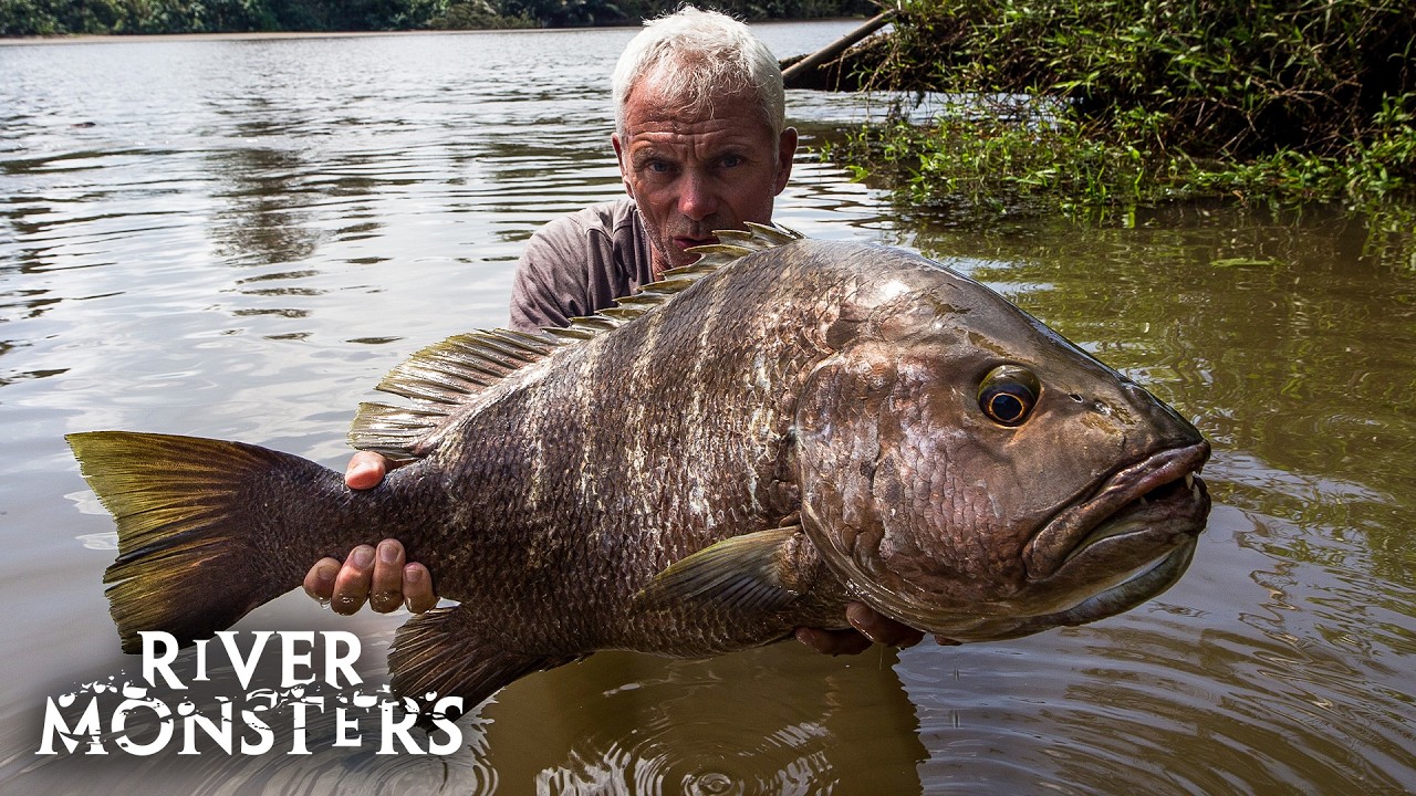 The BIGGEST FISH caught in Season 9 of River Monsters - Fishing