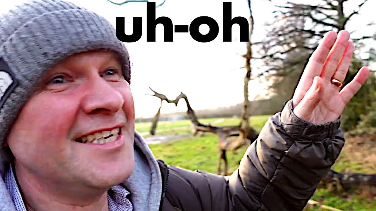 Why This 150 Year Old Tree Will Get Whacked? - YouTube