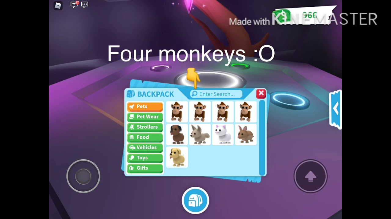 I got four monkeys (Roblox adopt me) - YouTube