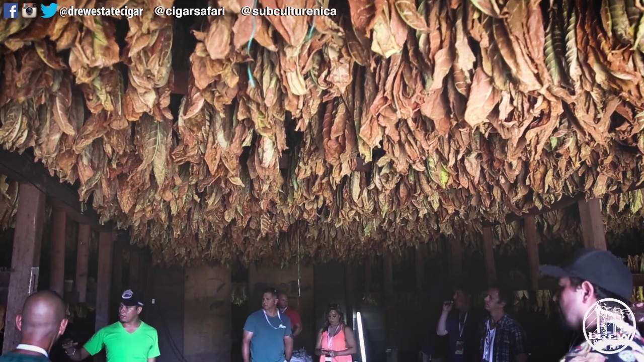 May 15-18, 2016 Cigar Safari - YouTube