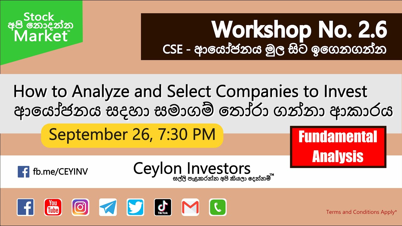 Workshop #2.6 - Analysis of Company VPEL, Balance Sheet - ආයෝජනය සදහා ...