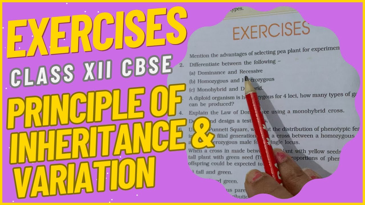 CLASS XII NCERT Exercises - Principle of Inheritance and Variation ...