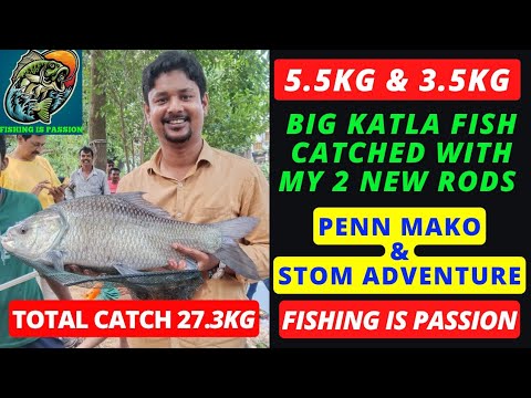 5.5Kg Big Katla Carp Fish Catching Video, Total Fish Catch of the day ...