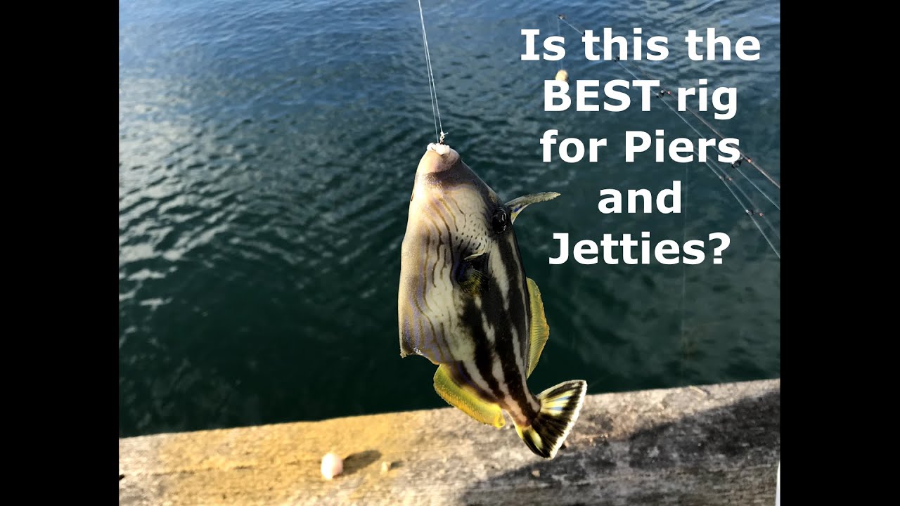 Is this the BEST pier rig - Fishing Philip Island - YouTube